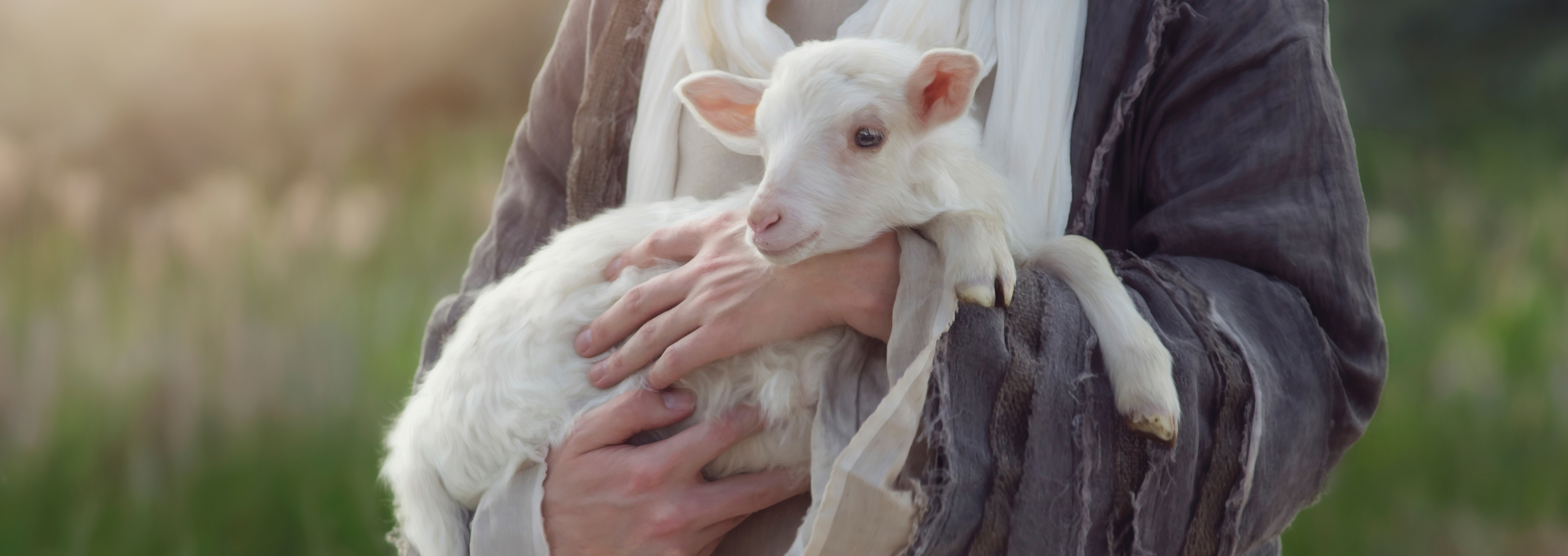 I Am The Good Shepherd | COMFORTING WORDS